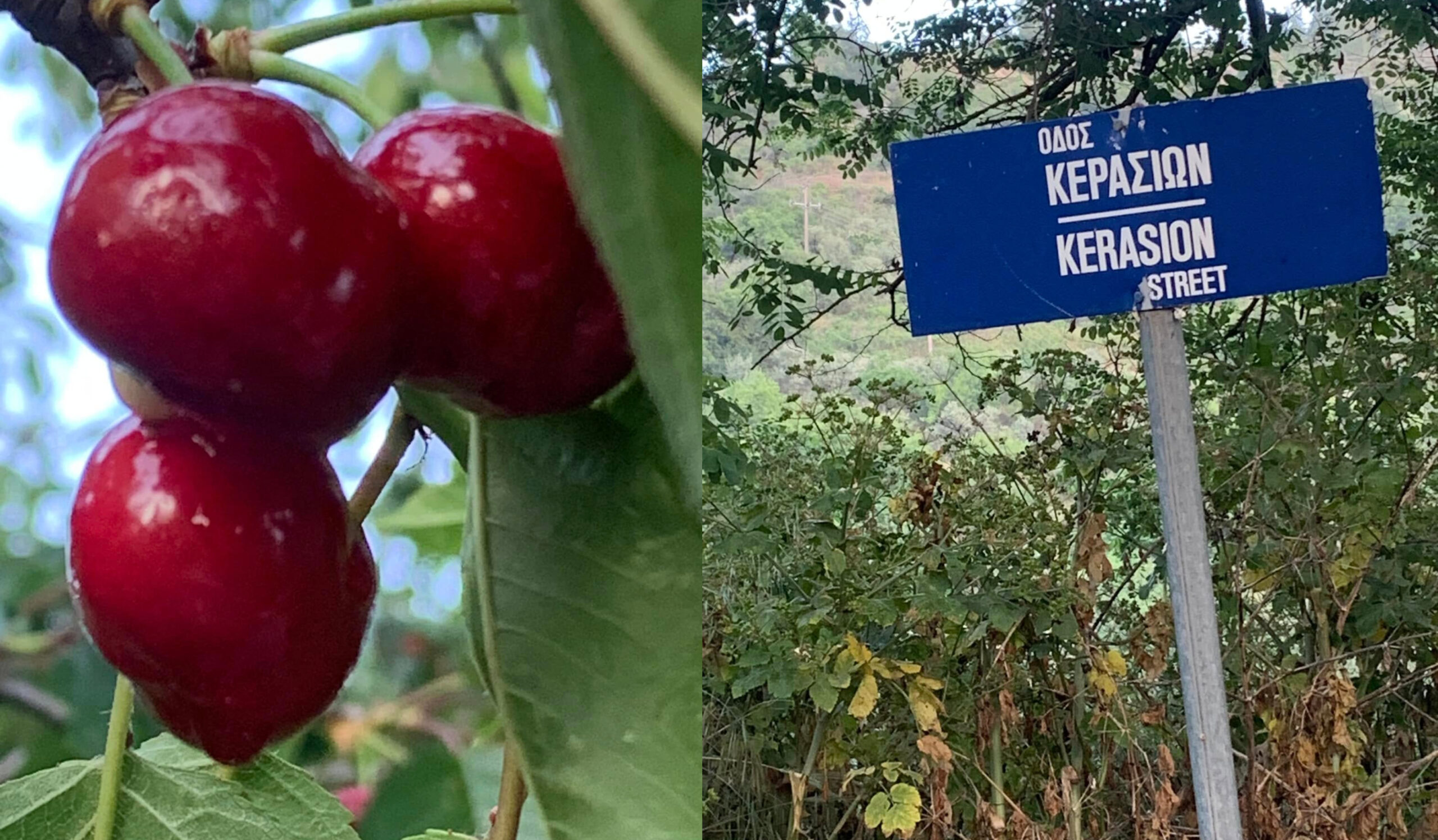 Τέτοια οδός μόνο στον Κάμπο ταιριάζει - Φωτογραφίες - ΕΦΗΜΕΡΙΔΑ ΔΥΤΙΚΗΣ ...